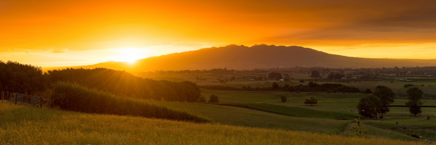 Welcome to DTI Lawyers | DTI Lawyers