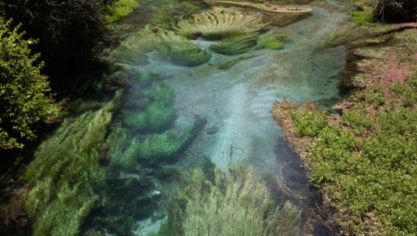 Our Expertise | Hamilton Legal Expertise | DTI Lawyers